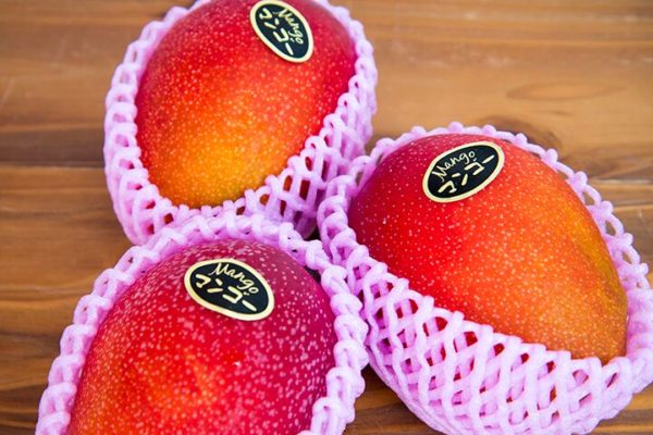 沖縄旬青果 沖縄県産マンゴー